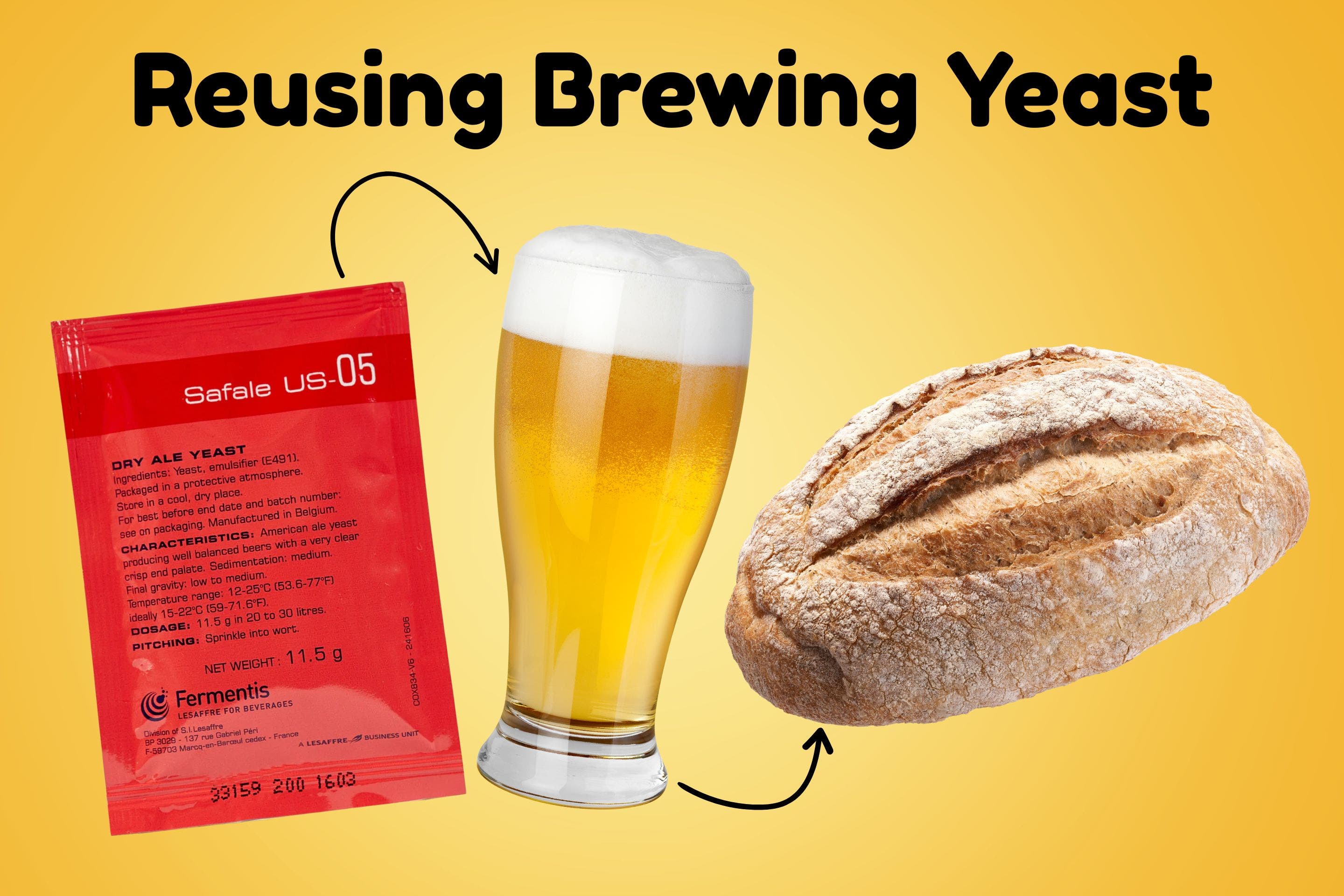 Reusing Yeast: Save Money, Brew Better & Bake Trub Bread | Mr. Beer ...