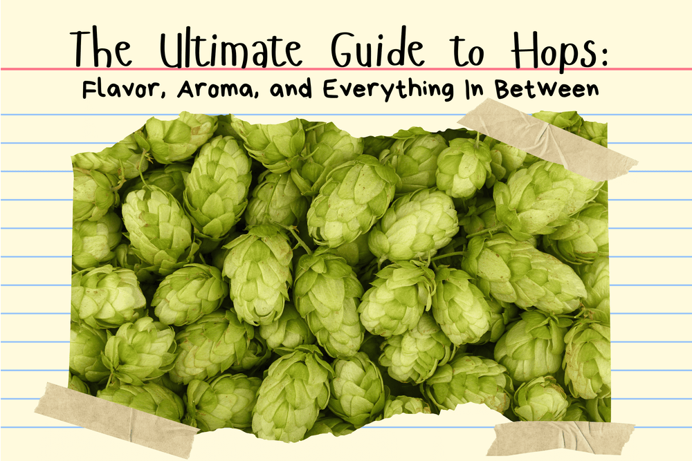 The Ultimate Guide to Hops: Flavor, Aroma & Brewing Tips | Mr. Beer ...